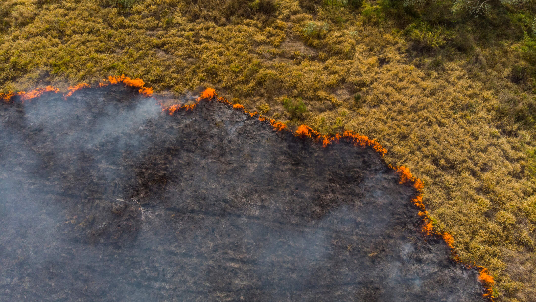 Queimadas: conheça as causas, consequências e desafios | Bosch no Brasil